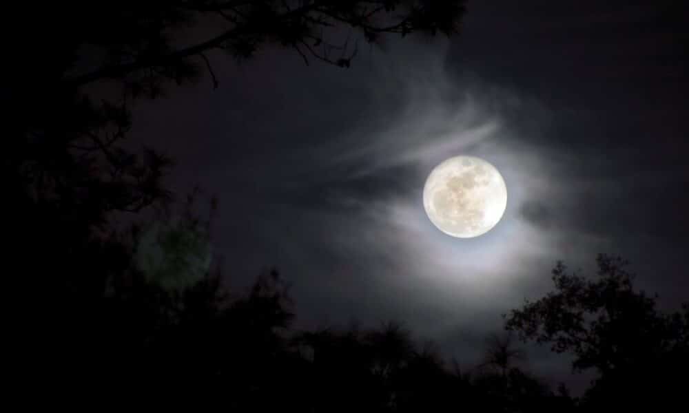 Moon phase this Monday, February 2, 2026, remains full and one hundred ...